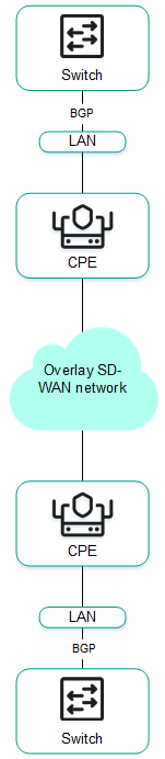 The BGP dynamic routing protocol